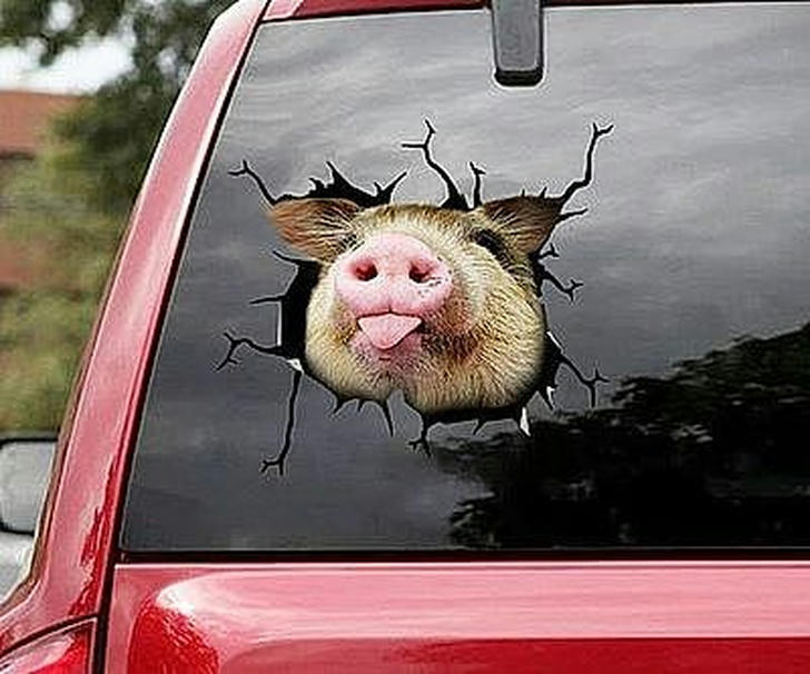 10+ Outrageously Funny Bumper Stickers That Will Laugh Your Way Through ...